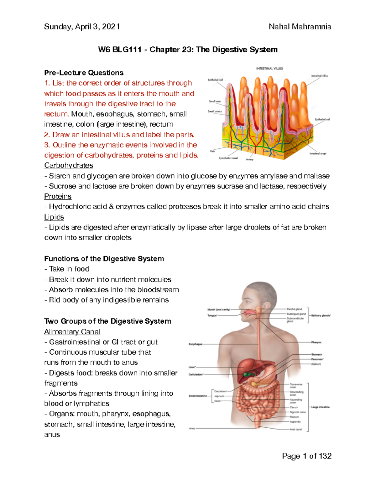 FILE 4936 - Uhhh. Ion - W6 BLG111 - Chapter 23: The Digestive System ...