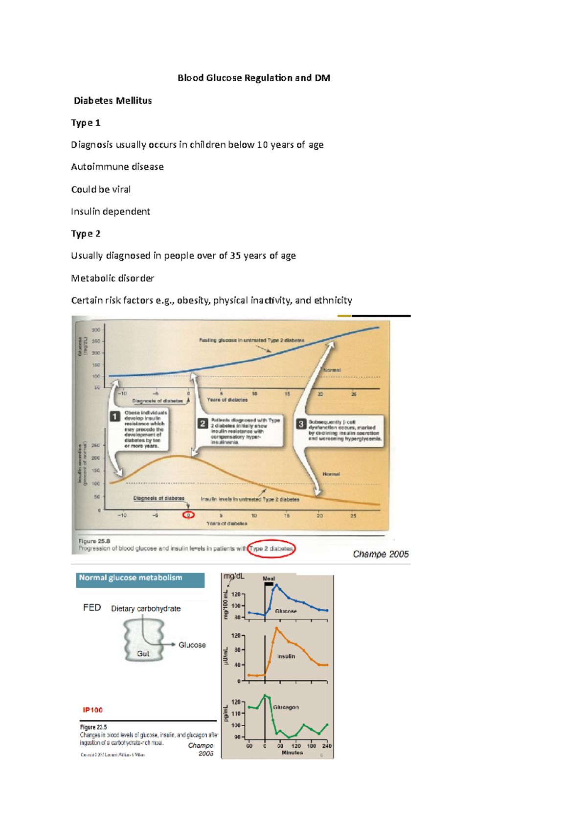 Blood Glucose Regulation and Diabetes Mellitus - 311044 - Curtin - Studocu