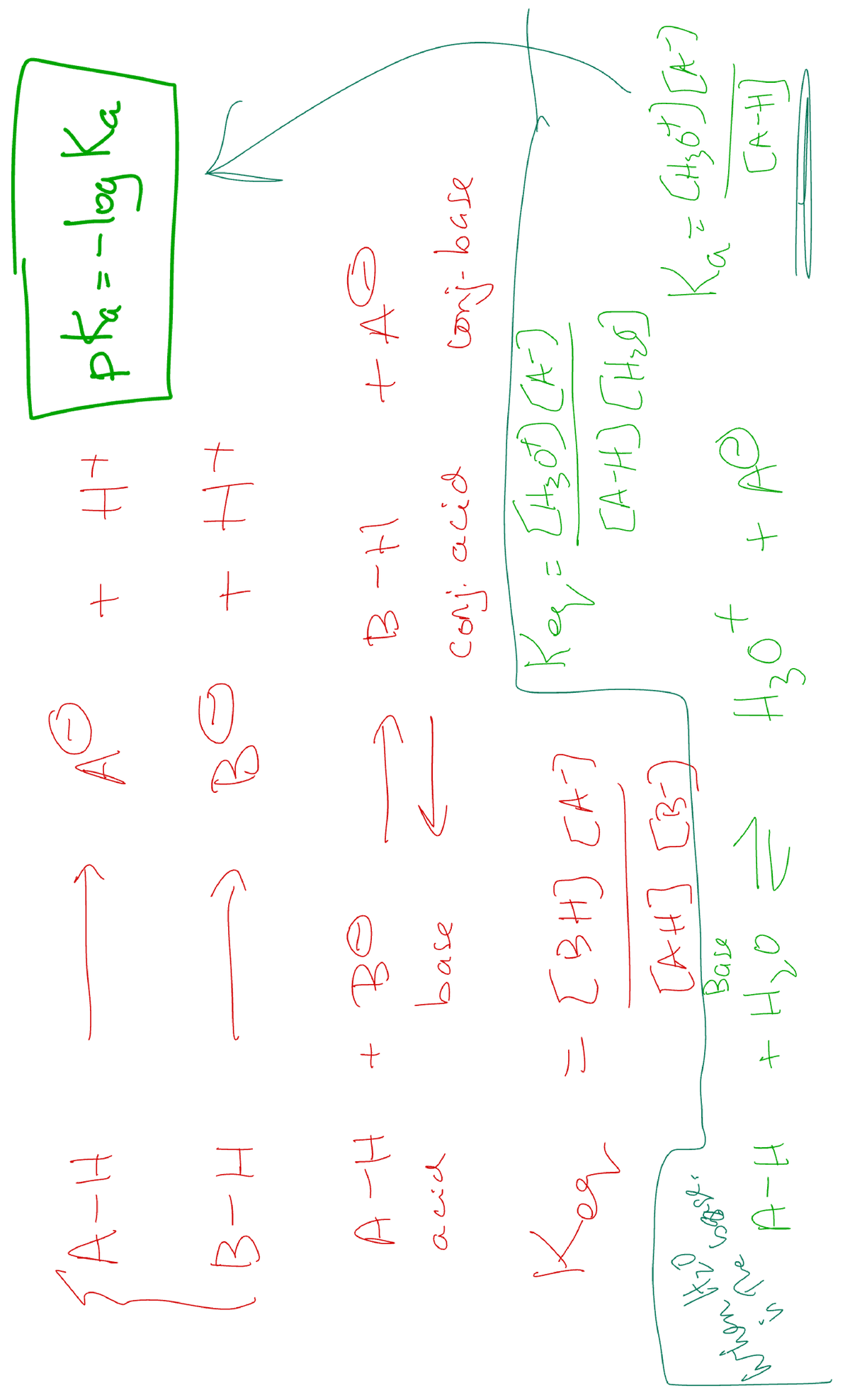 Module 2 IN-class-annotated - A 1) Ka BE BO acid base L conj Ker (436t)(A) Base H2O H304 AO A 1 ...