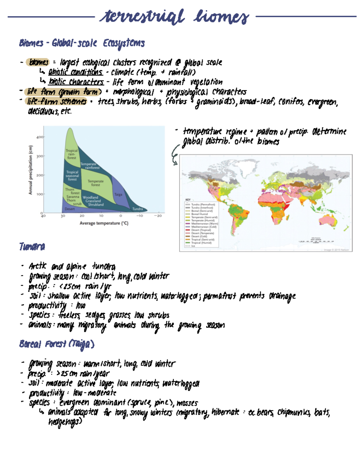 Terrestrial Biomes - Lecture notes may vary - terrestrial biomes Biomes ...