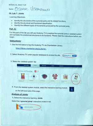 1 doctors vs nurse who does the real work 1 - Name: Osavbie Deborah ...