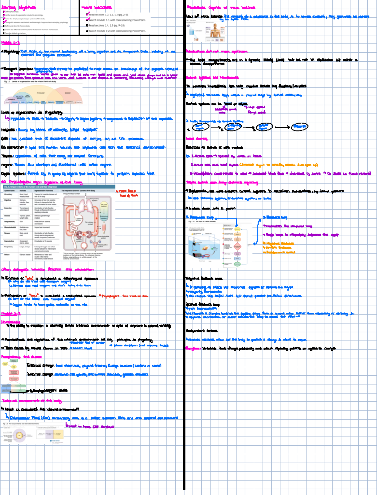Module 1 - Lec Notes - ####### ningobjectives mogle instructions ...