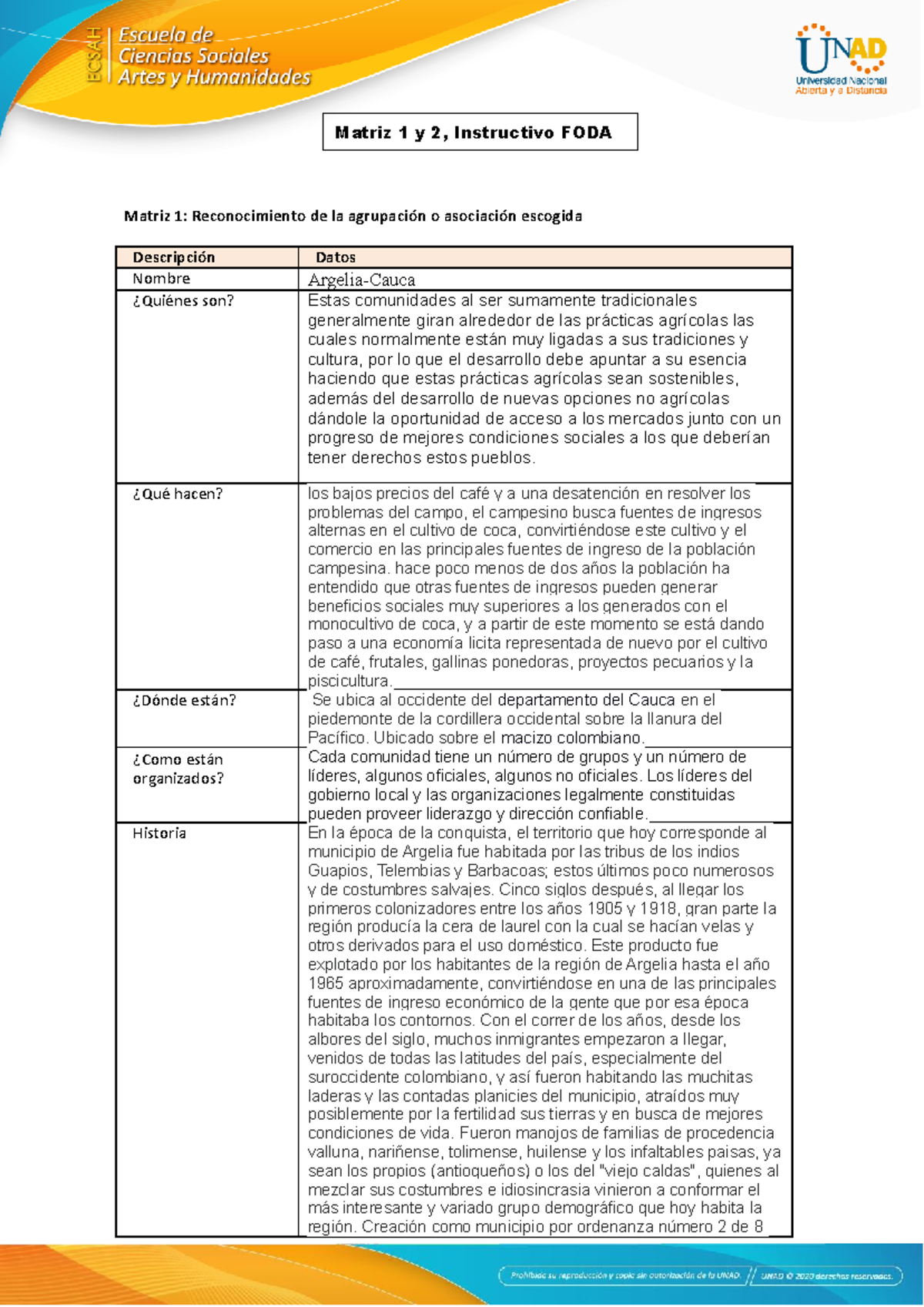 Anexo 1 - Instructivo Matriz 1 y 2 - Matriz 1 y 2, Instructivo FODA ...