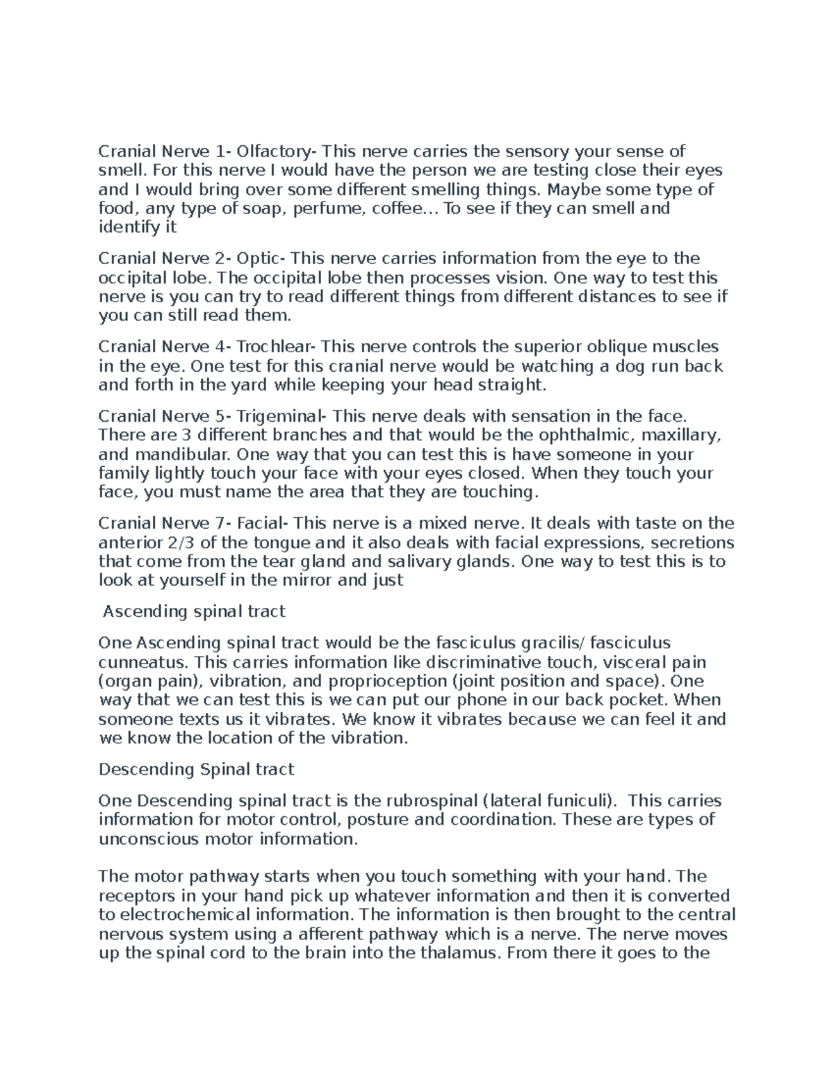 Nervous System part 1 Homework - Cranial Nerve 1- Olfactory- This nerve ...