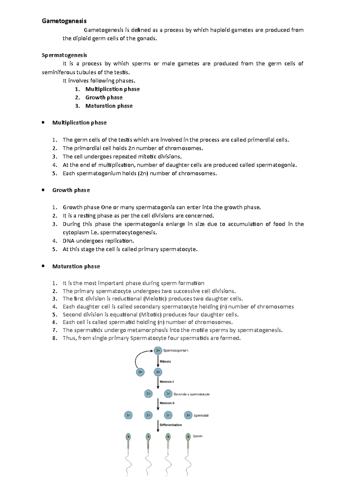 3 -Human Reproduction - 12th Biology - Gametogenesis Gametogenesis is ...