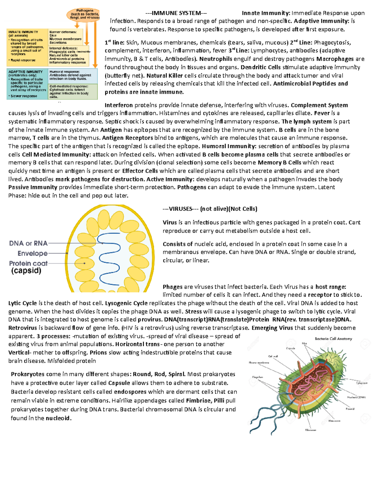 bio Exam 3 study guide -IMMUNE SYSTEM- Innate Immunity: Immediate ...