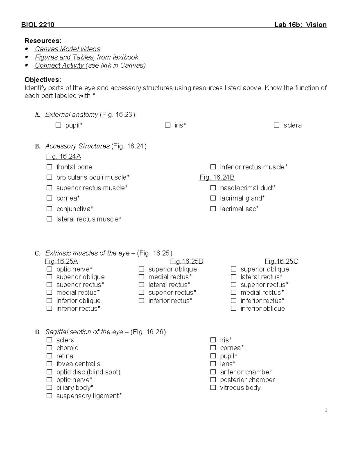 Lab 16B Eye Anatomy (instructions) - BIOL 2210 Lab 16b: Vision ...
