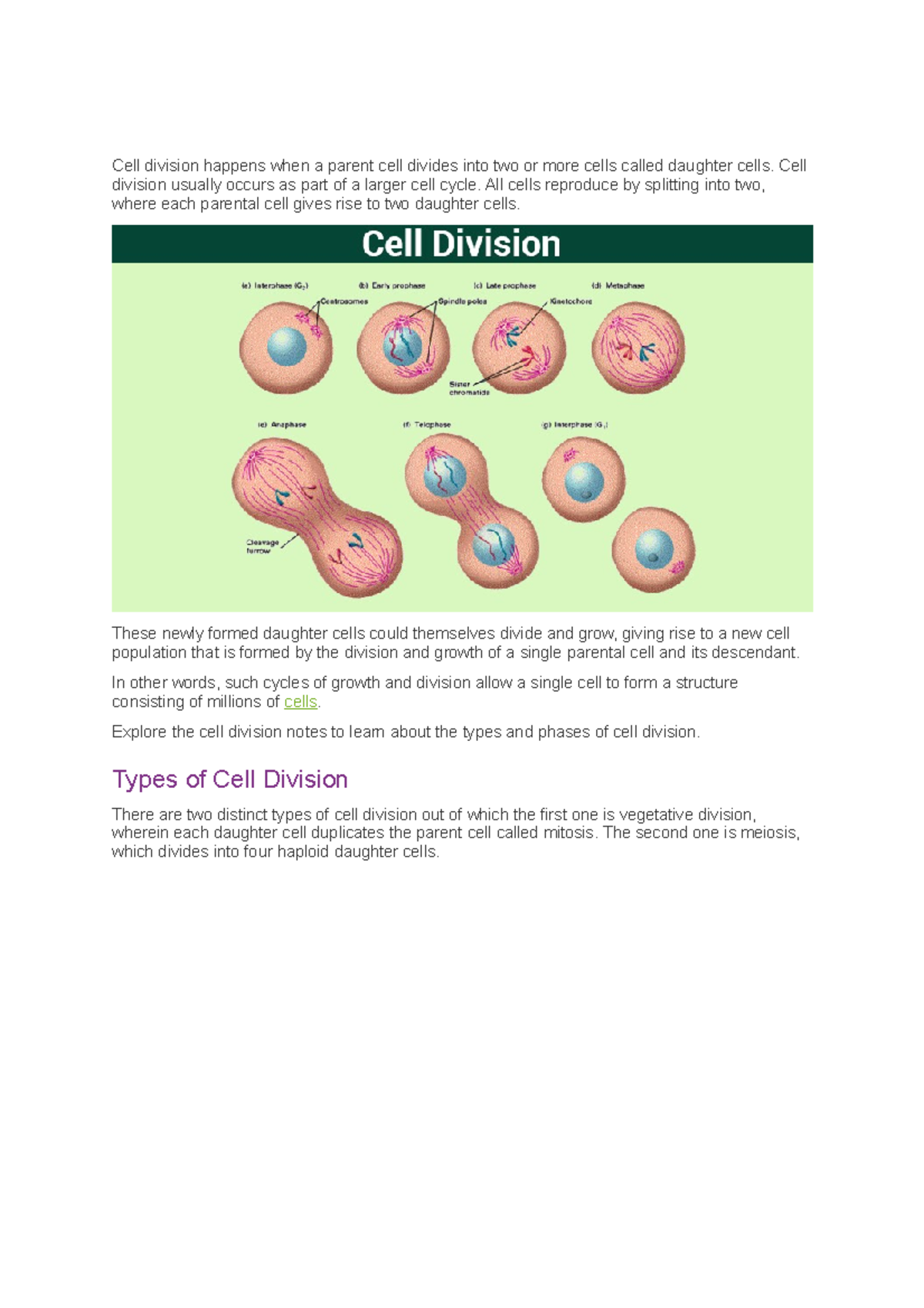 Biol 101 Cell cycle Notes - Cell Division Cell division happens when a ...