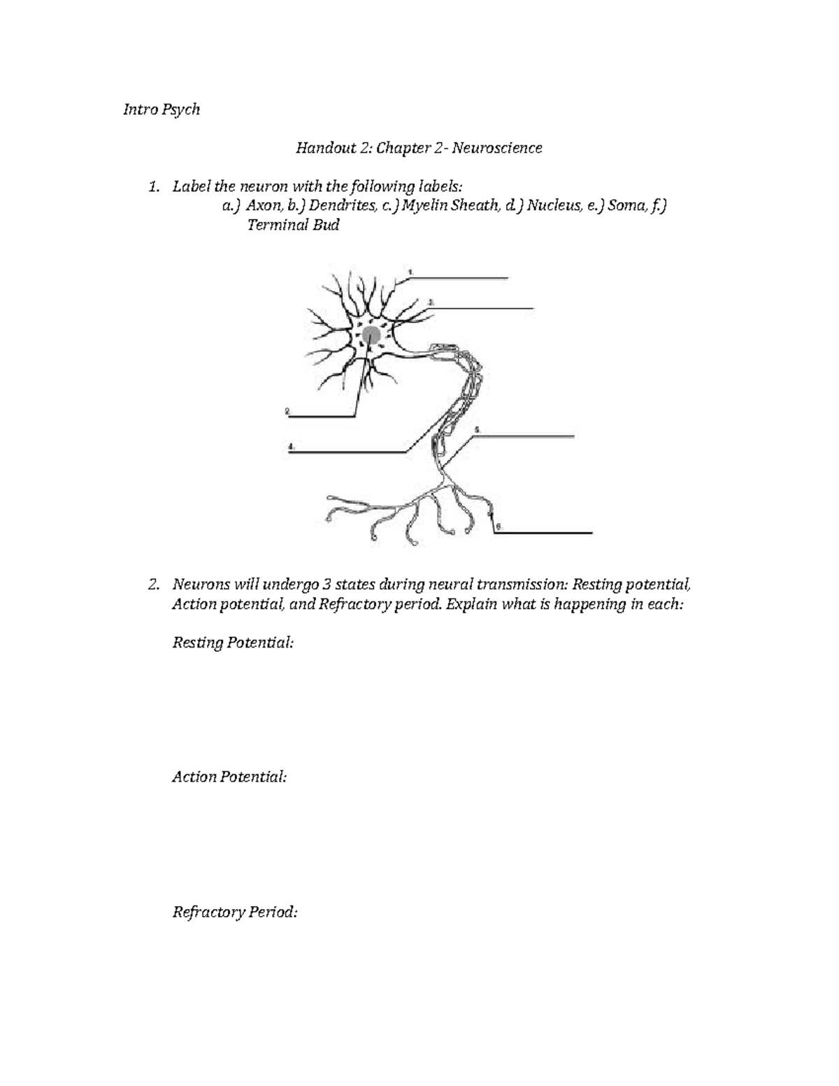 Handout 2- Ch. 2 Neuroscience-2 - Intro Psych Handout 2: Chapter 2 ...