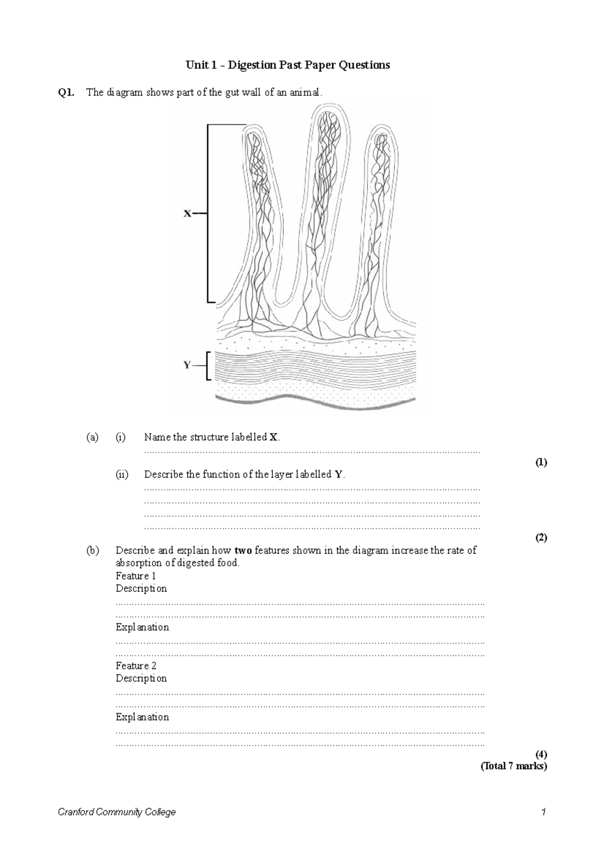 Digestive System Research Paper at Norris Carrico blog