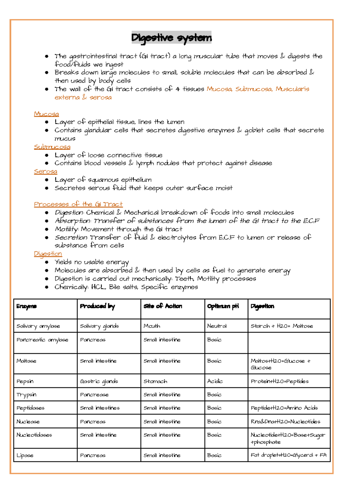 Digestive system Human anatomy notes - Digestive system The ...