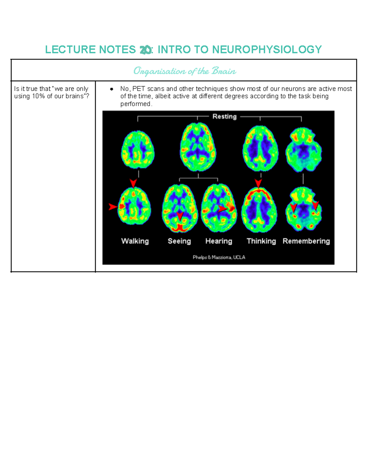 Lecture Notes 20 Intro to Neurophysiology - 6 Big Questions - LECTURE ...