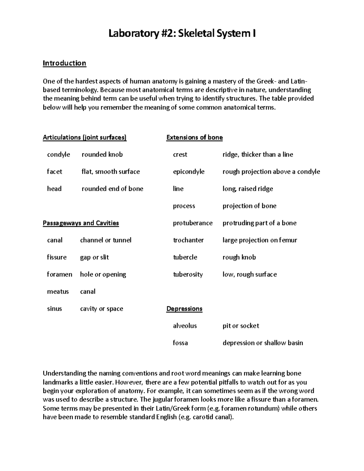 Laboratory 02 - Skeletal System I - Laboratory #2: Skeletal System I ...