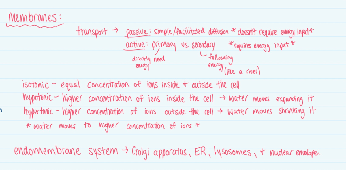 Chapter 4 Book Notes - BIOL14110AAA - Studocu