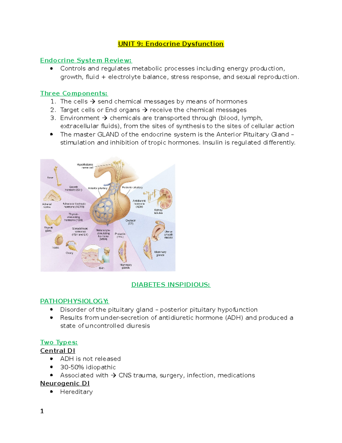 Unit 9- Endocrine Disorder - UNIT 9: Endocrine Dysfunction Endocrine ...