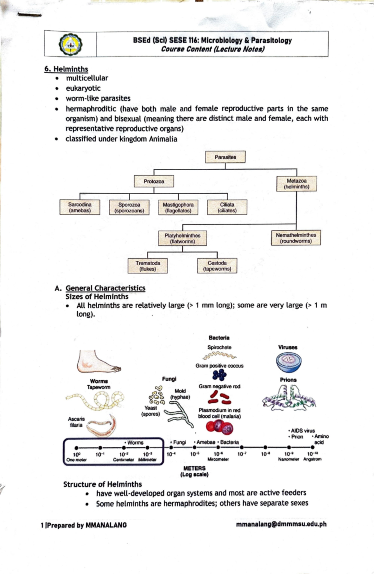 Helminths 2 - Hehe - 6. Helminths • multicellular • eukaryotic Coun ...