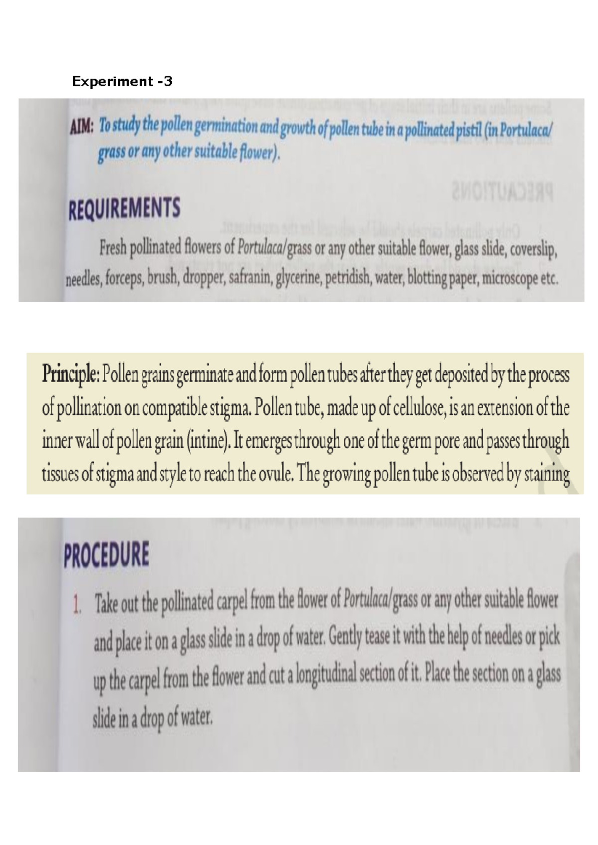 Experiment-2 Study of Pollen Germination and Growth of Pollen Tube ...