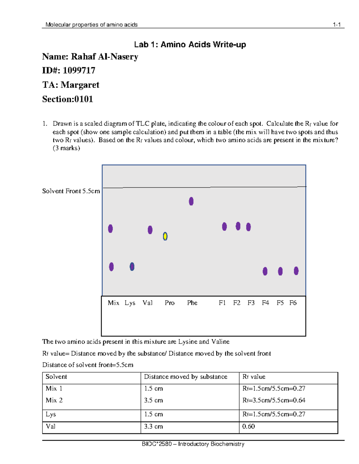 Amino Acid Lab Write-up Template - Molecular properties of amino acids ...