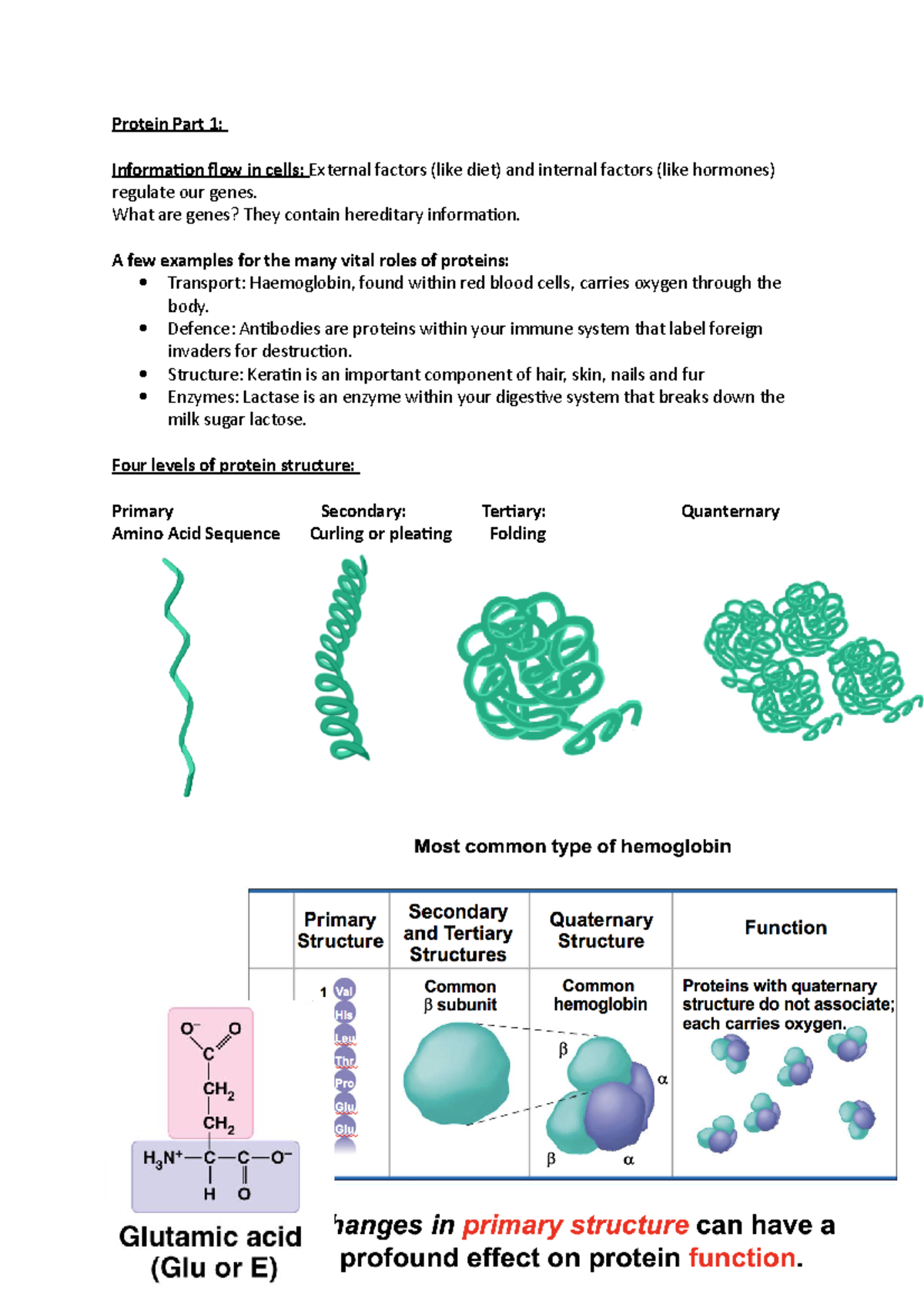 Protein - Part 1 - Protein Part 1: Information flow in cells: External ...