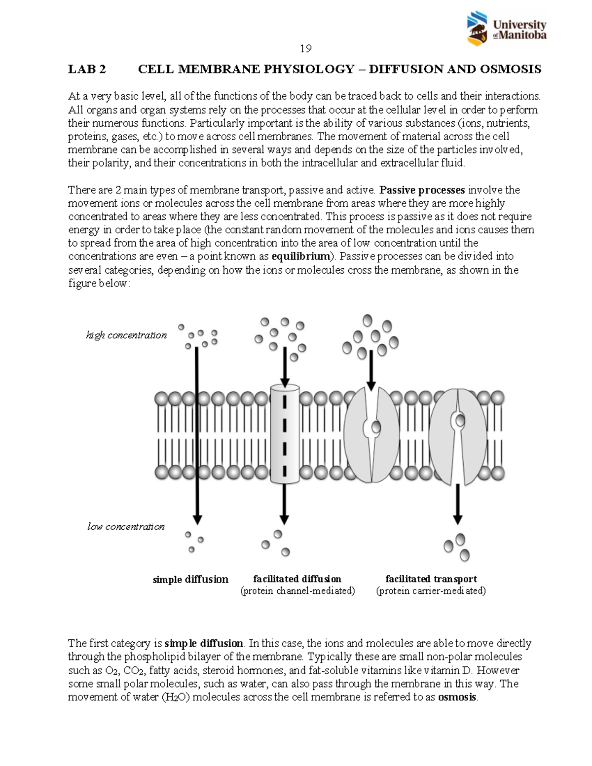 BIOL1412 Lab Manual Lab 2 - Winter 2024 - LAB 2 CELL MEMBRANE PHYSIOLOGY – DIFFUSION AND OSMOSIS ...