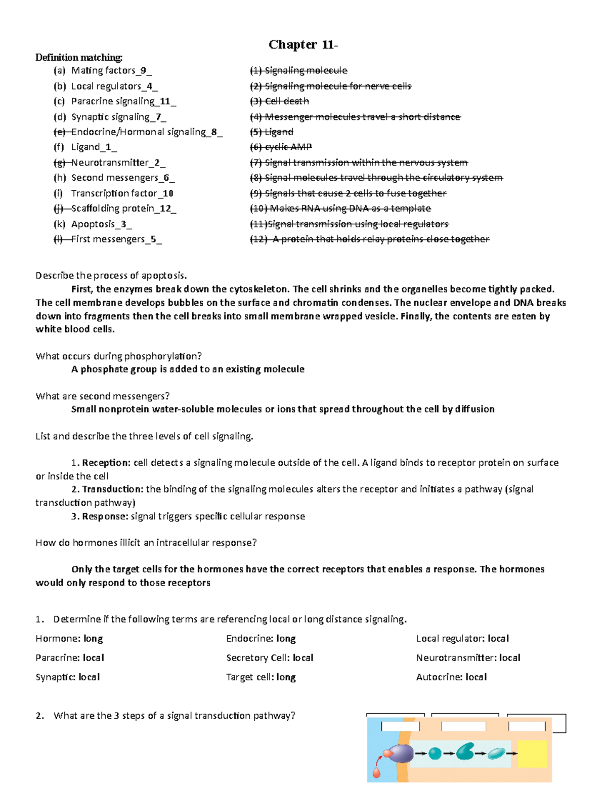 WEEK 8-HW- Chapter 11 - Work - Chapter 11- Definition matching: (a) Mating factors_ 9 _ (1 ...