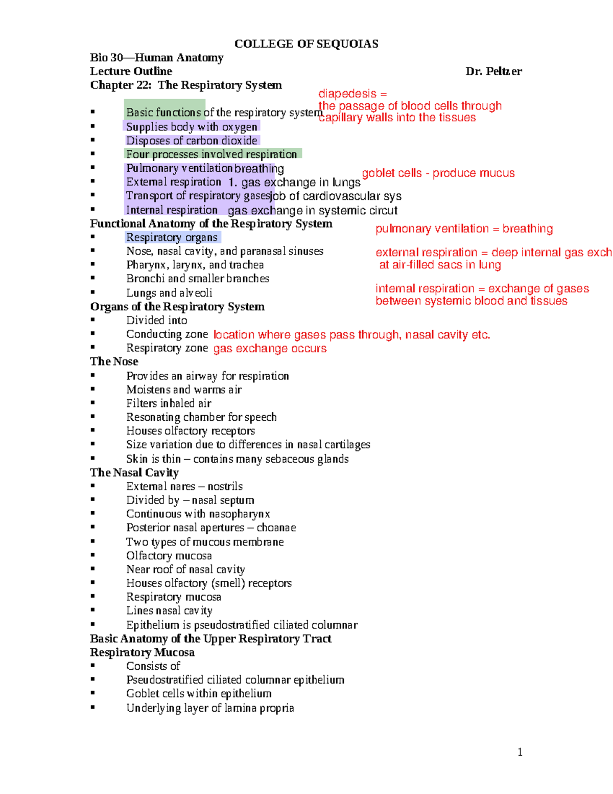 Ch. 22 Outline - The Respiratory System - Bio 30—Human Anatomy Lecture ...
