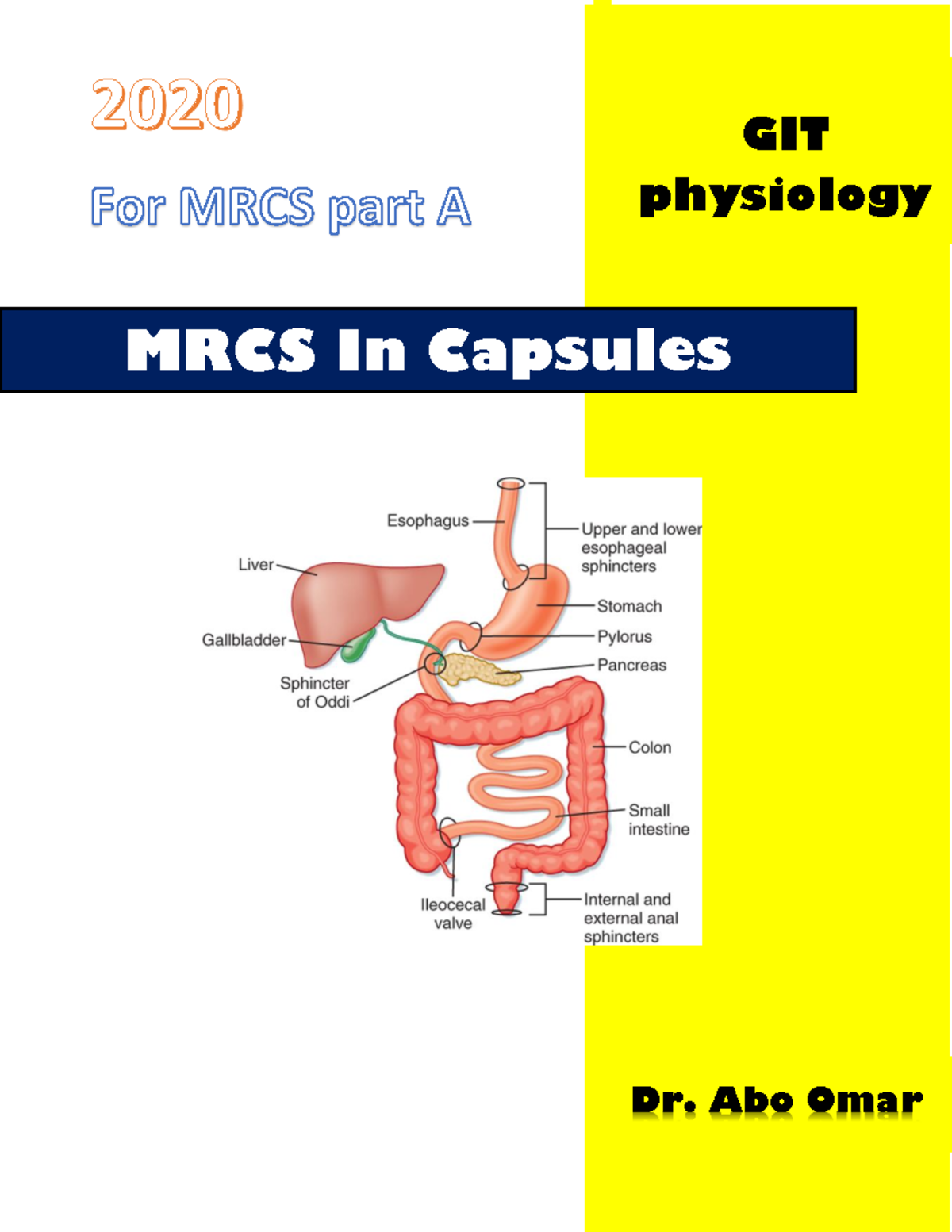 Git physiology final - patho - GIT physiology Dr. Abo Omar MRCS In ...
