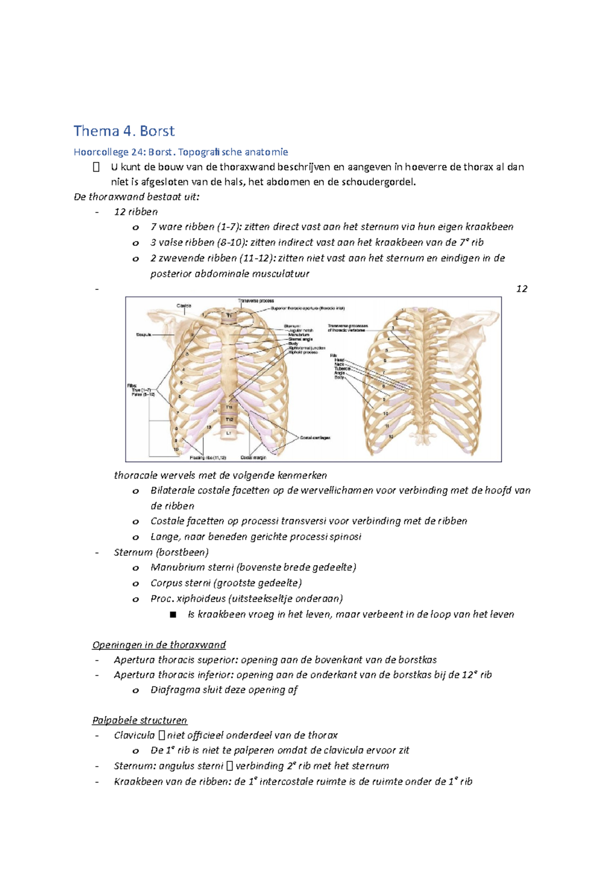 Leerdoelen Thema 4-5-6 - Thema 4. Borst Hoorcollege 24: Borst ...
