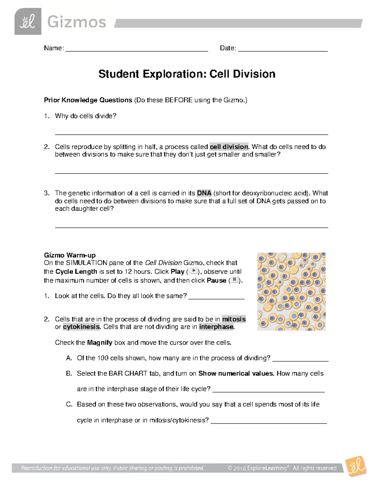 Cell Division SE (1) - cell - Name ...