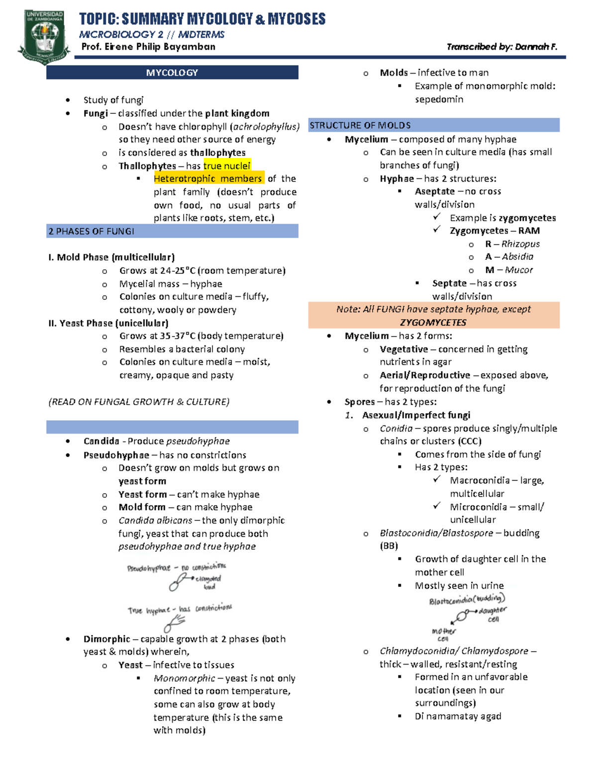 Mycology AND Mycoses ( Outline) - MICROBIOLOGY 2 // MIDTERMS Prof ...