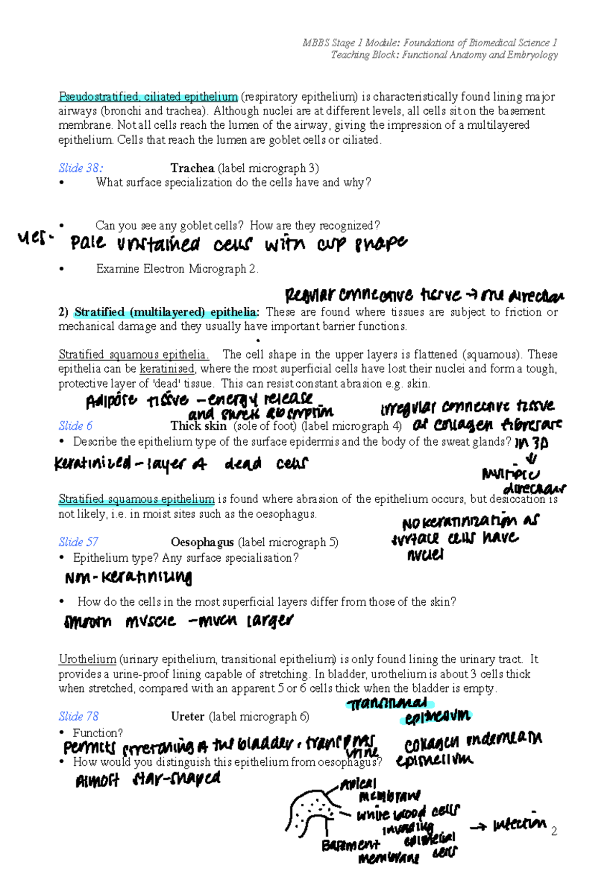 Microanatomy Worksheets 2 - MBBS Stage 1 Module: Foundations of ...