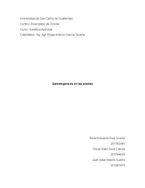 Problemas-de-genecc 81tica - Problemas de genética ! ! ! Una mariposa ...