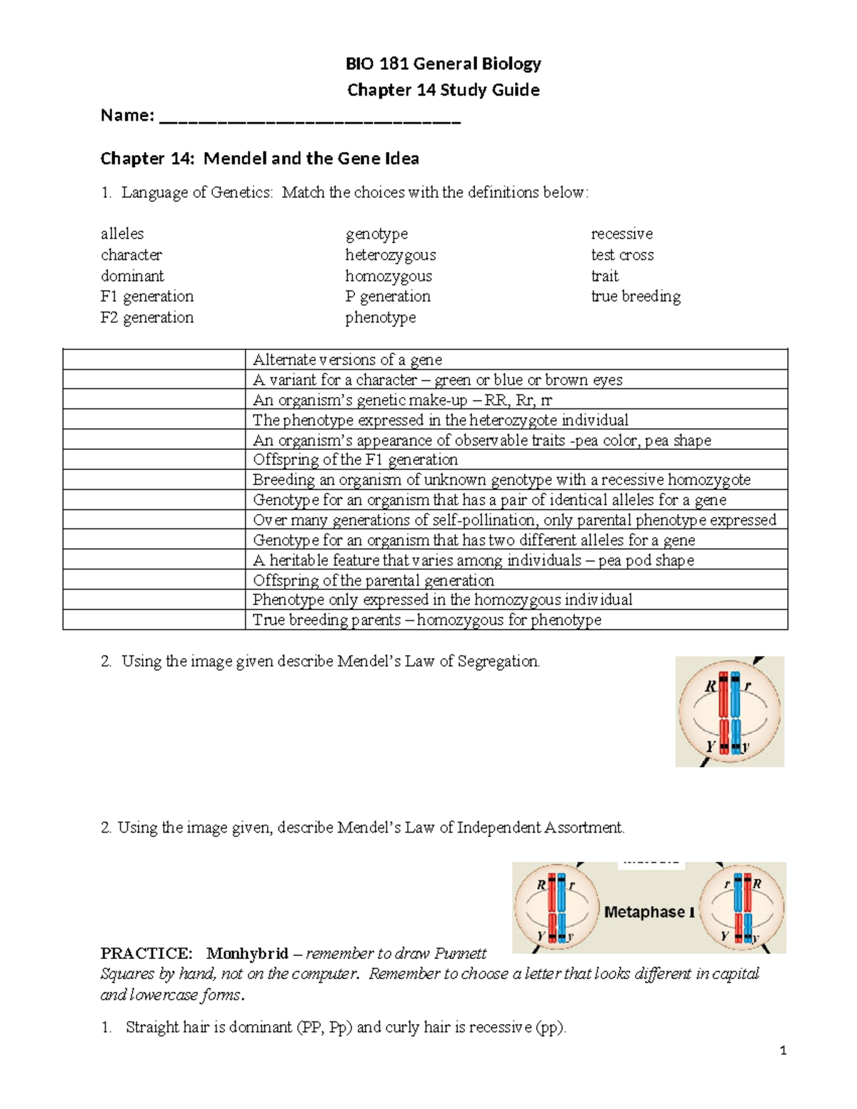 Chapter 14 Study Guide F23 - BIO 181 General Biology Chapter 14 Study ...
