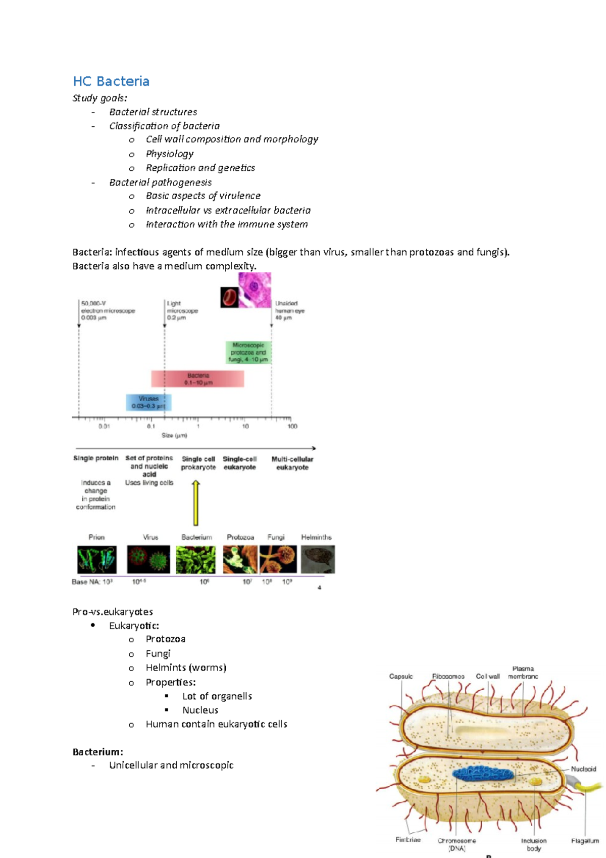 LT Bacteria, theme 2 - HC Bacteria Study goals: Bacterial structures ...