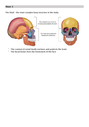 Anatomy MCQ - Multiple choice test questions and answers - TOPIC 1 1 ...