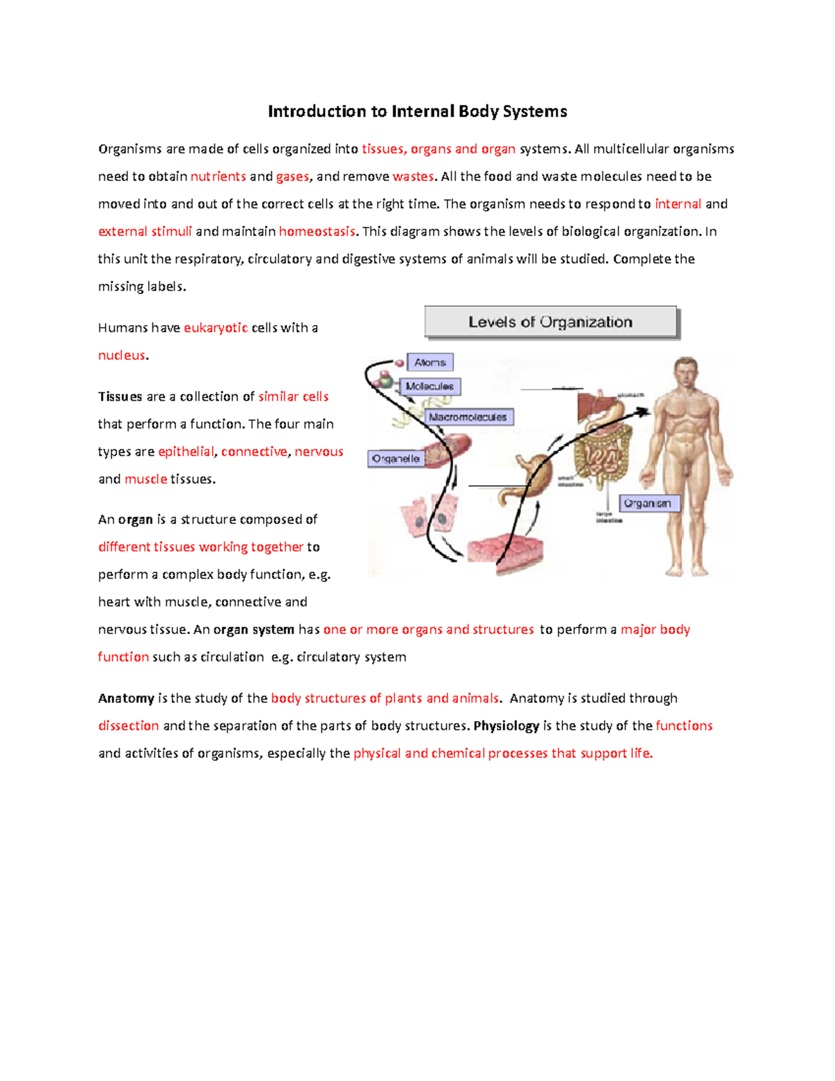 Intro anatomy physiology worksheet - Introduction to Internal Body ...