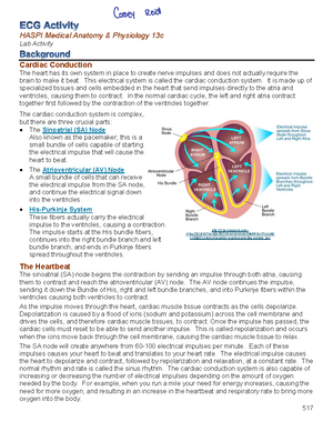Cardiovascular system introduction - Adequate functioning requires a ...