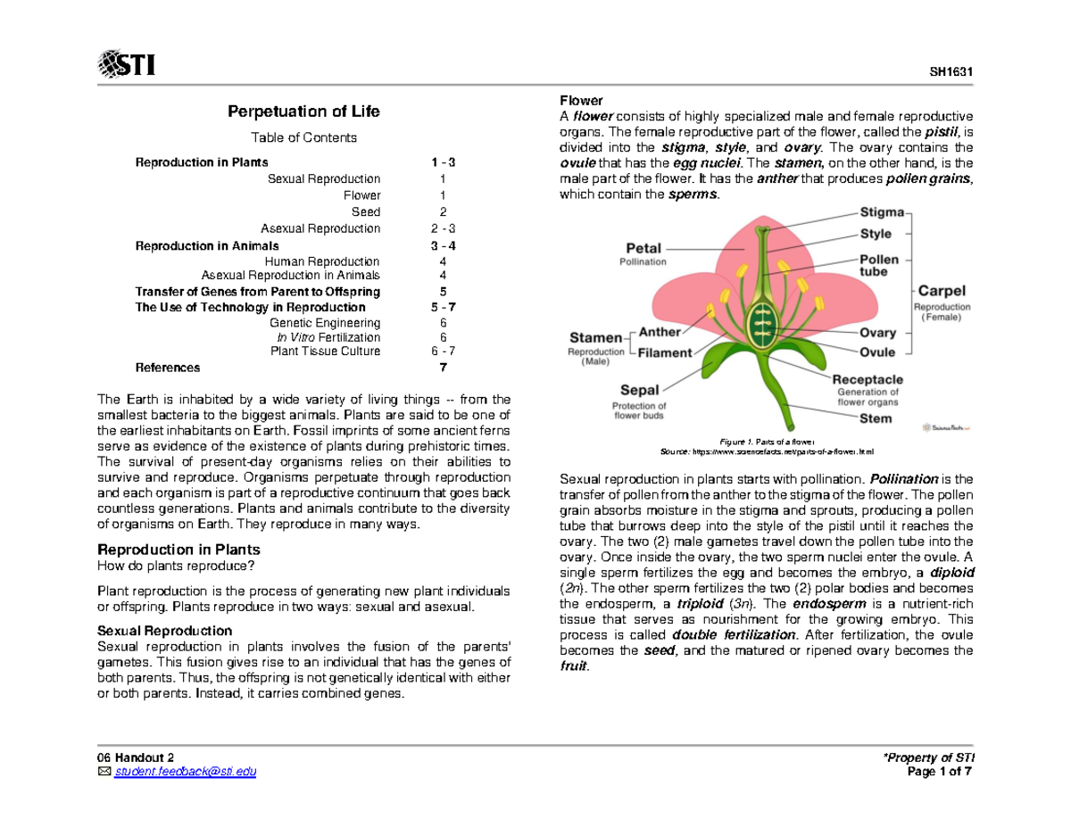 G11- 06 Handout 2 - Notes - 06 Handout 2 *Property of STI Perpetuation ...