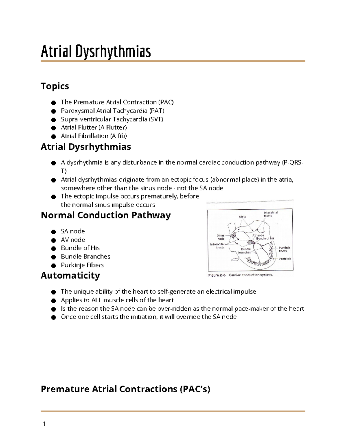 CC - Atrial Dysrhythmias - Atrial Dysrhythmias Topics The Premature ...