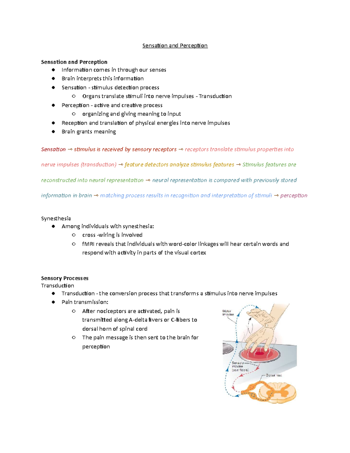 Lecture 6 - Lisa smithson notes with some of my notes - Sensaion and ...