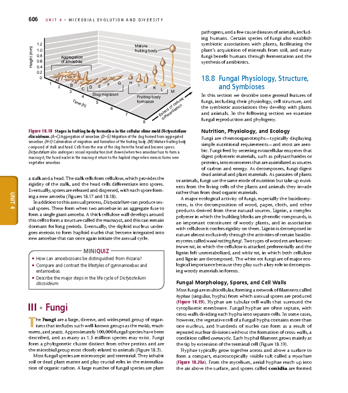Microbial Evolution and Diversity - 606 U N I T 4 • M I c r o b I A l E ...