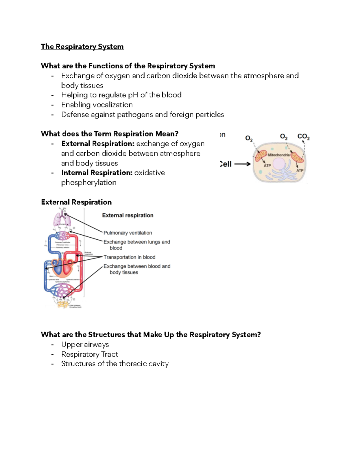 Lecture 35-38 - The Respiratory System - The Respiratory System What ...
