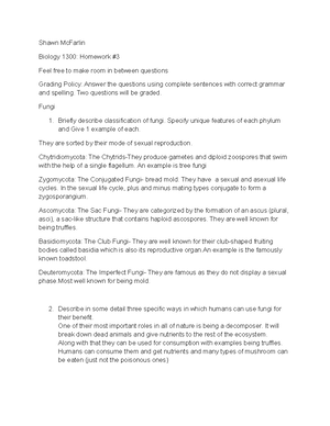 cultural interview essay sample - Student COMM 3280 Professor Supplee ...