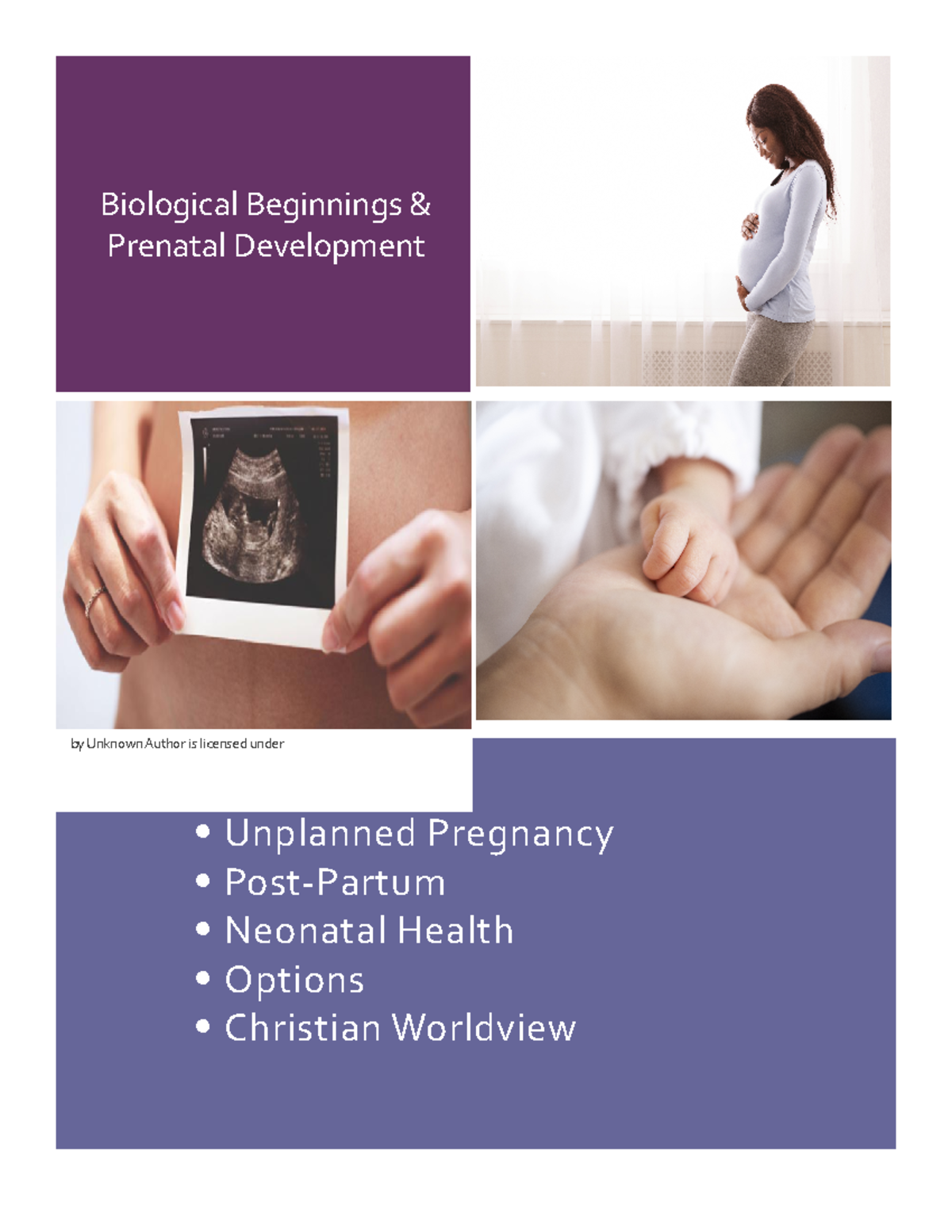 Biological Beginnings - It's acceptable if some kids complete the ...