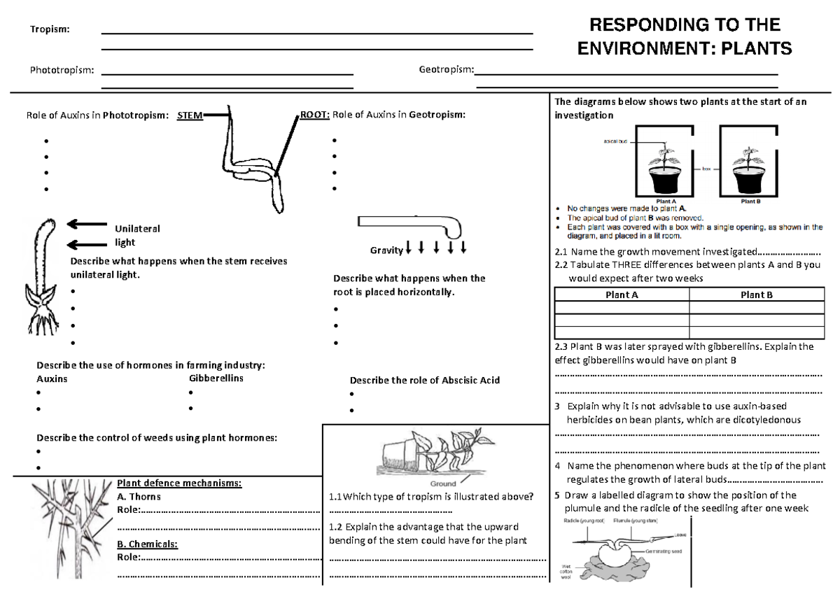 8.1 one pager Tropisms study notes - RESPONDING TO THE ENVIRONMENT ...