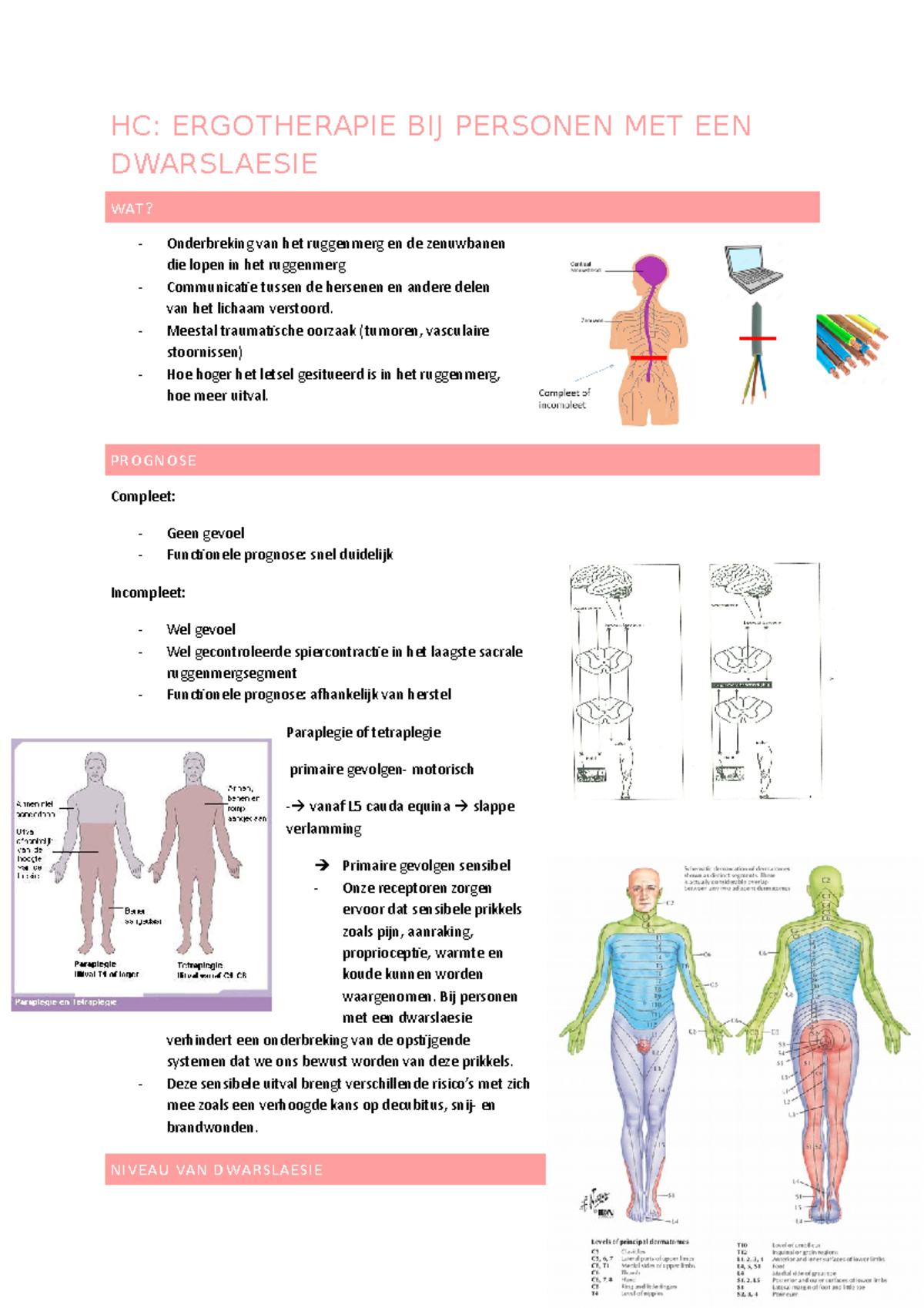 Dwarslaesie - HC: ERGOTHERAPIE BIJ PERSONEN MET EEN DWARSLAESIE WAT ...