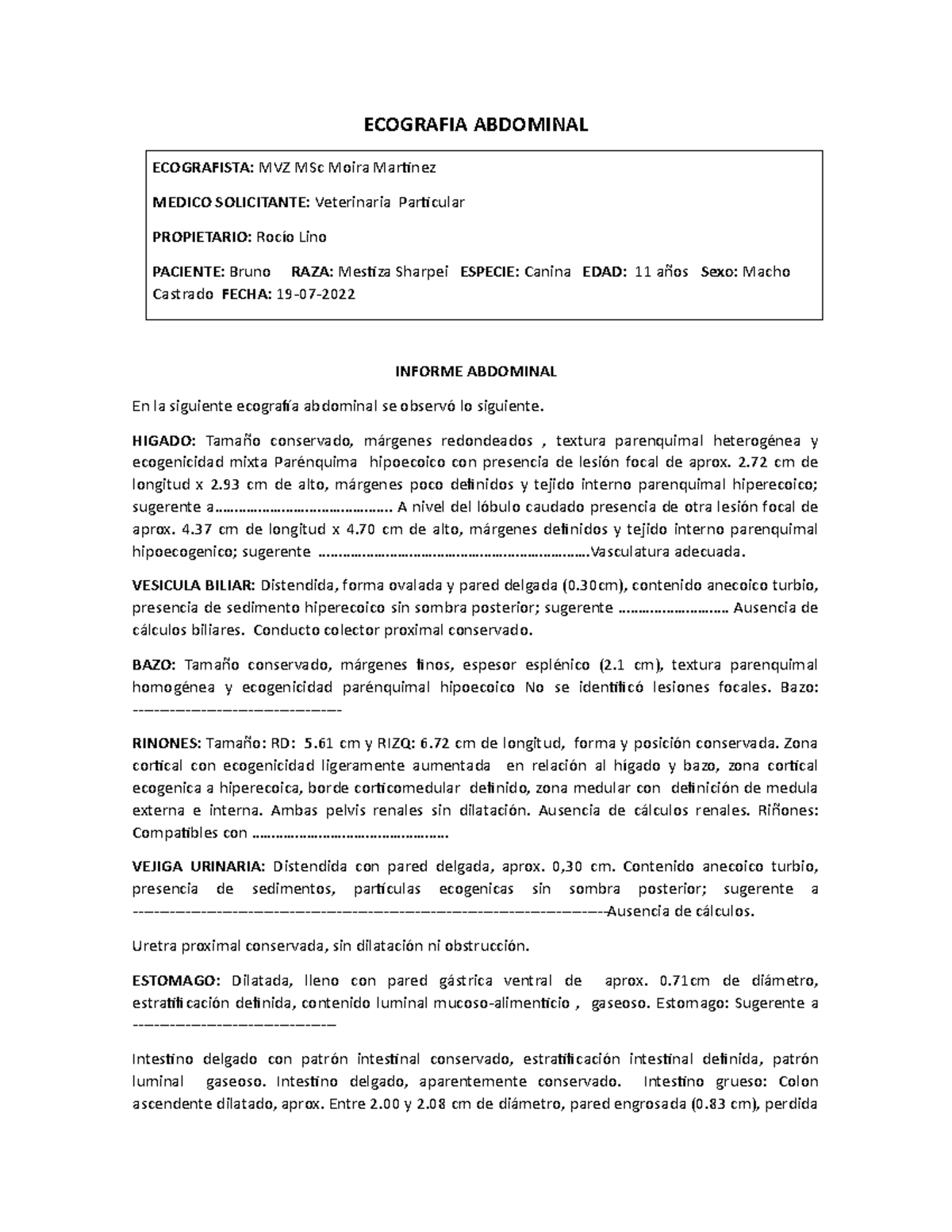 Lino, Bruno,19-07-2022. copia - ECOGRAFIA ABDOMINAL INFORME ABDOMINAL ...