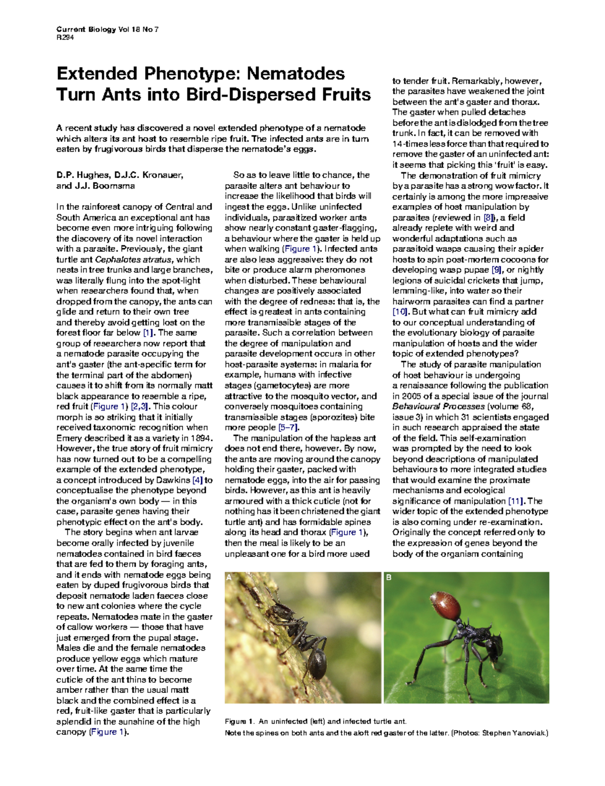 Article GM paràsits - ejemplo comentado en clase tema 1 - Extended ...