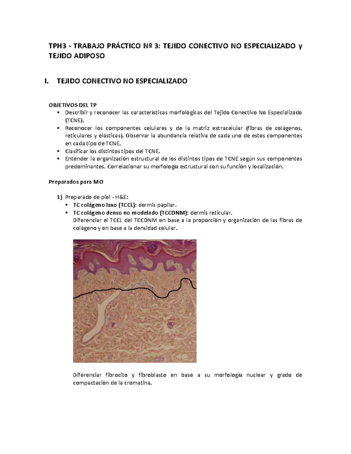 Tp3 - The term medicine comes from the Latin medicine and refers to the ...