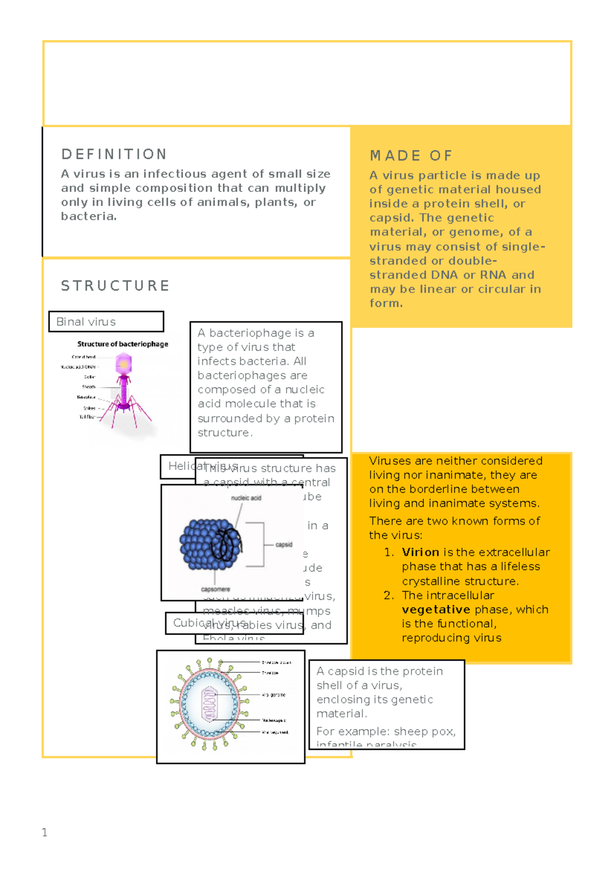 Viruses - Knauss class - D E F I N I T I O N A virus is an infectious ...
